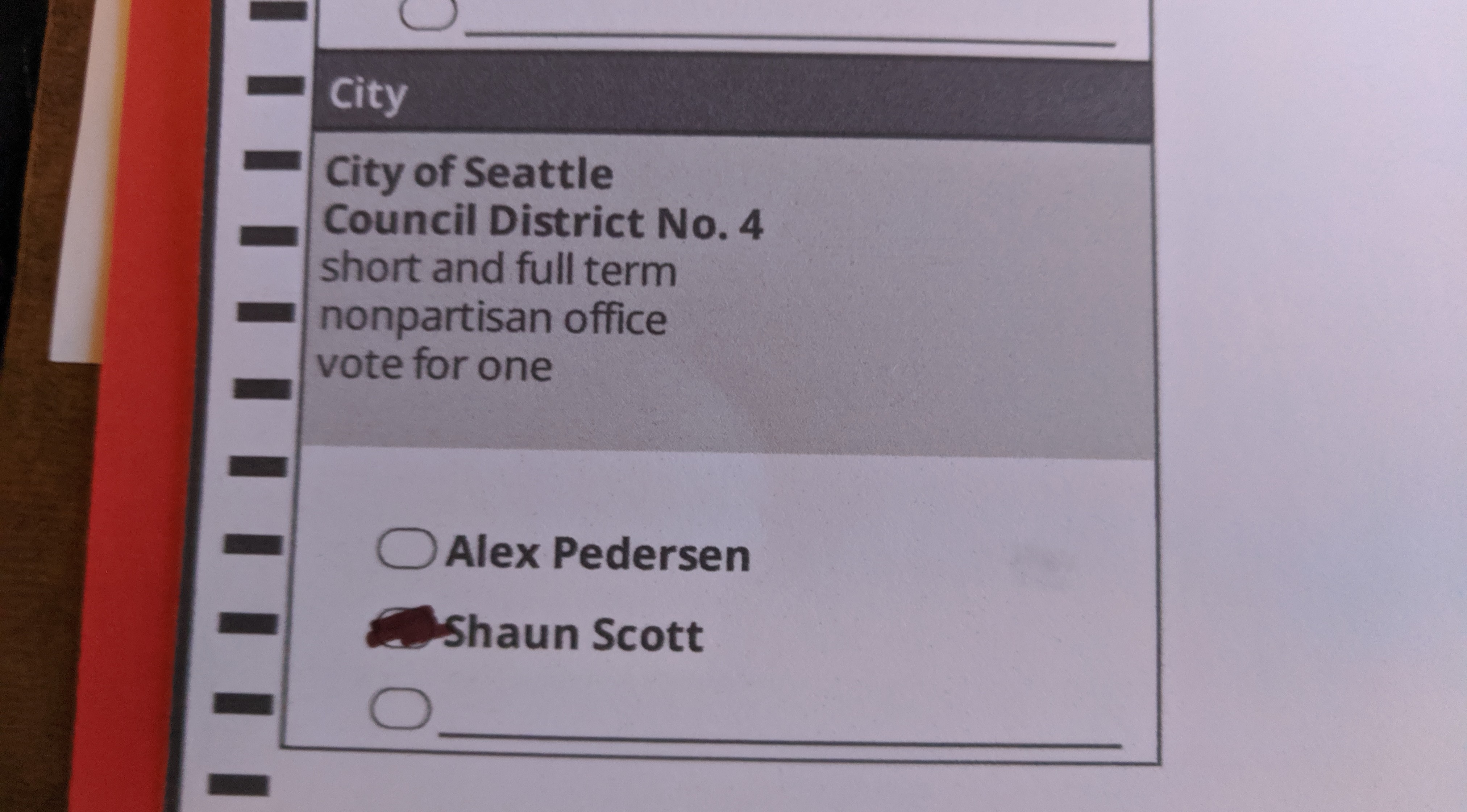 My 2019 General Election Ballot and Why – King Rat